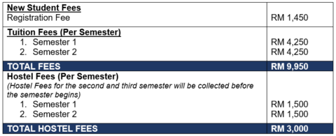 UTM Foundation Programme | SPACE : Official Portal of School of ...