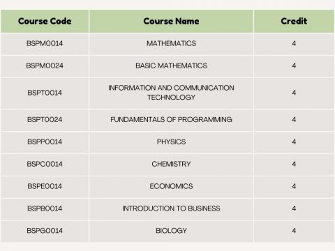 Bridging Programme | SPACE UTM